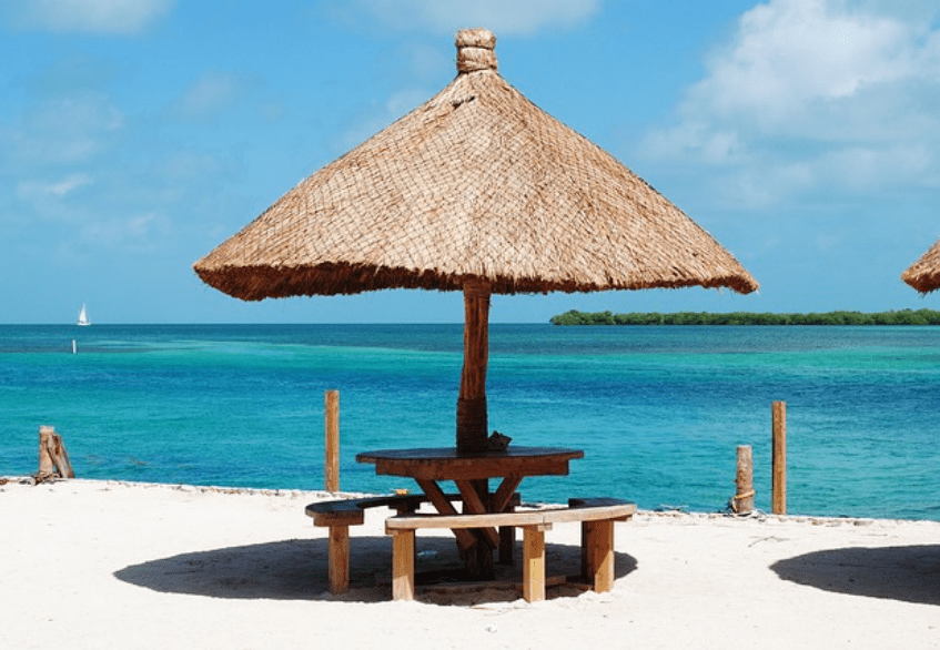 Welcome to The Real Estate Guys Radio Show! Real Estate Investing ...